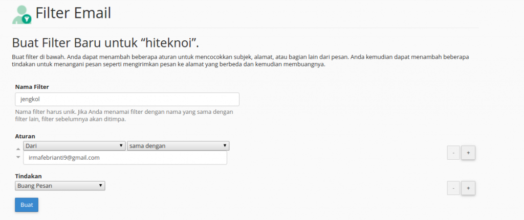 Cara Setup Email Filters di cPanel – Tutorial Domosquare.com
